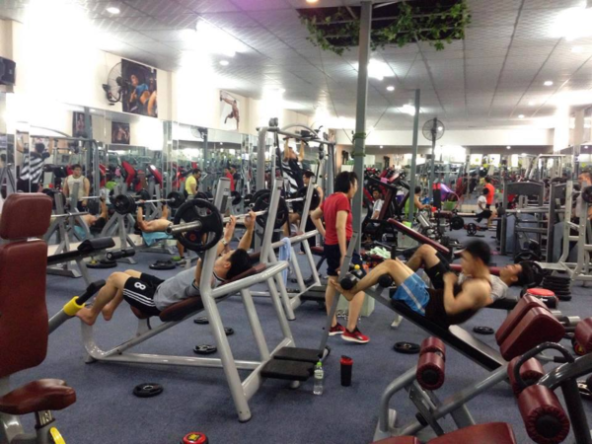 Top 10 Phòng Gym Quận 7 Giá Rẻ "Chuẩn Không Cần Chỉnh"